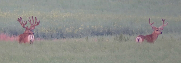 Weaver Base Reference Chart – Hunt's Hunting Supplies F.A.Q.